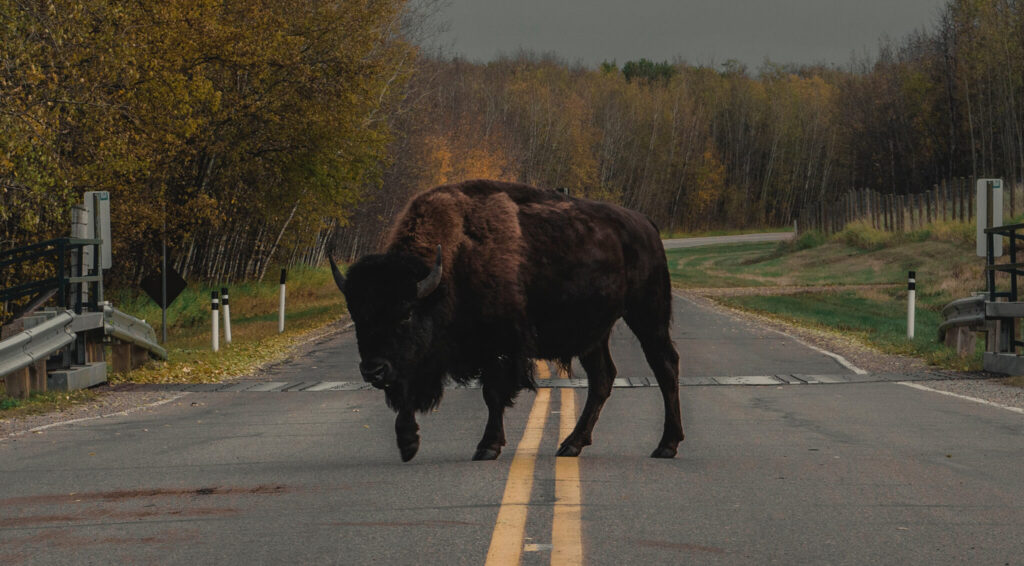 Change: Hindernisse aus dem Weg räumen